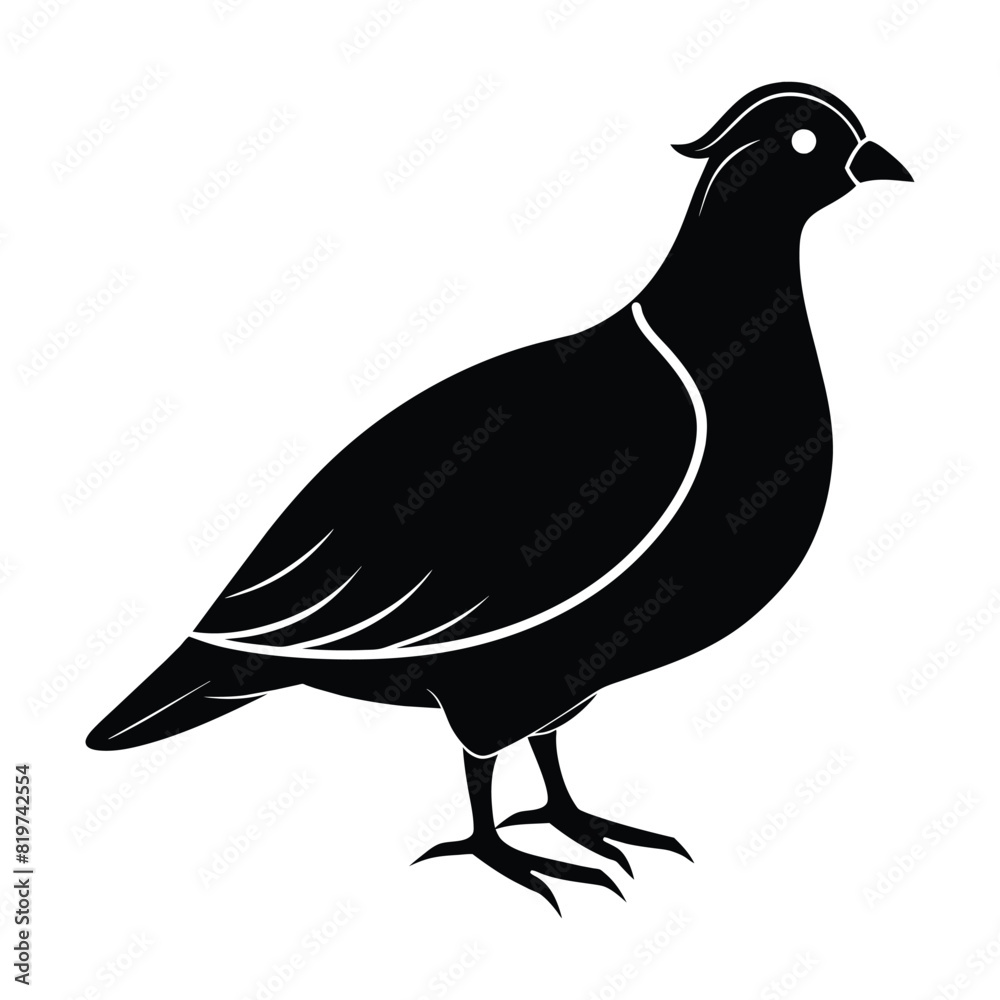 Quail silhouette, Quail Vector illustration, California quail ...