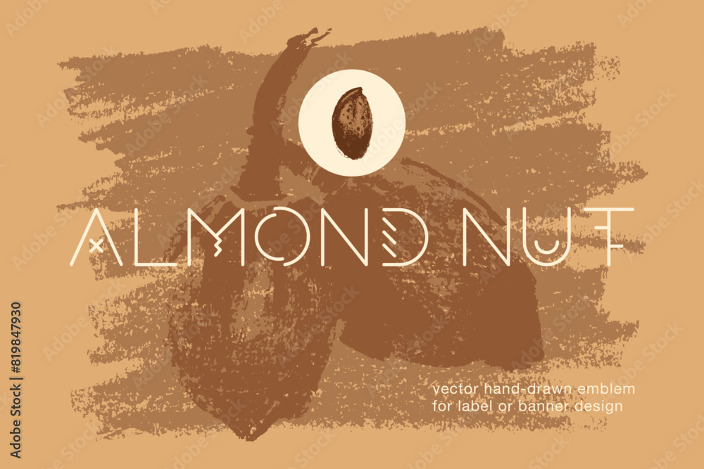 Vector almond emblem design on pencil texture for marzipan packaging ...