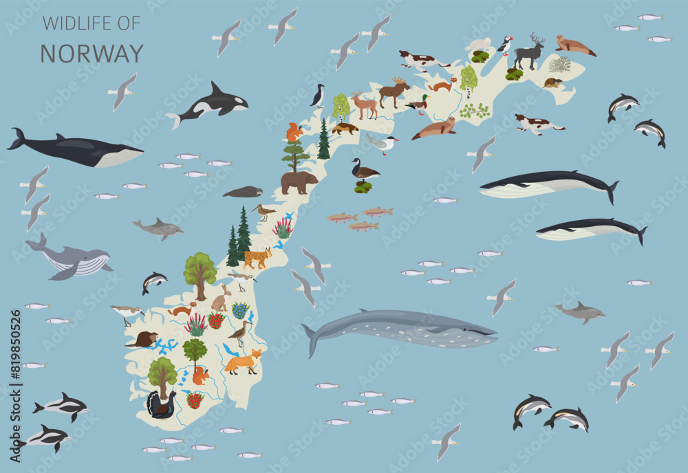 Norway wildlife geography. Animals, birds and plants constructor ...