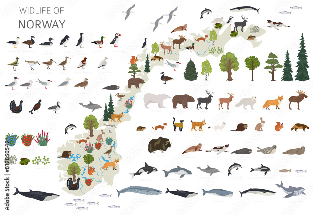 Norway wildlife geography. Animals, birds and plants constructor ...