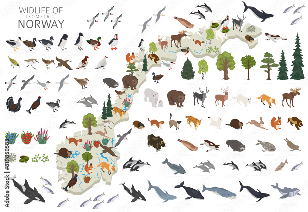 Norway wildlife isometric geography. Animals, birds and plants ...