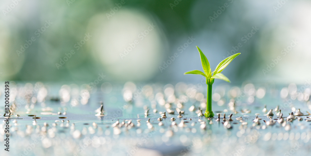 Advancements in electronic, digital technology are driving green ...