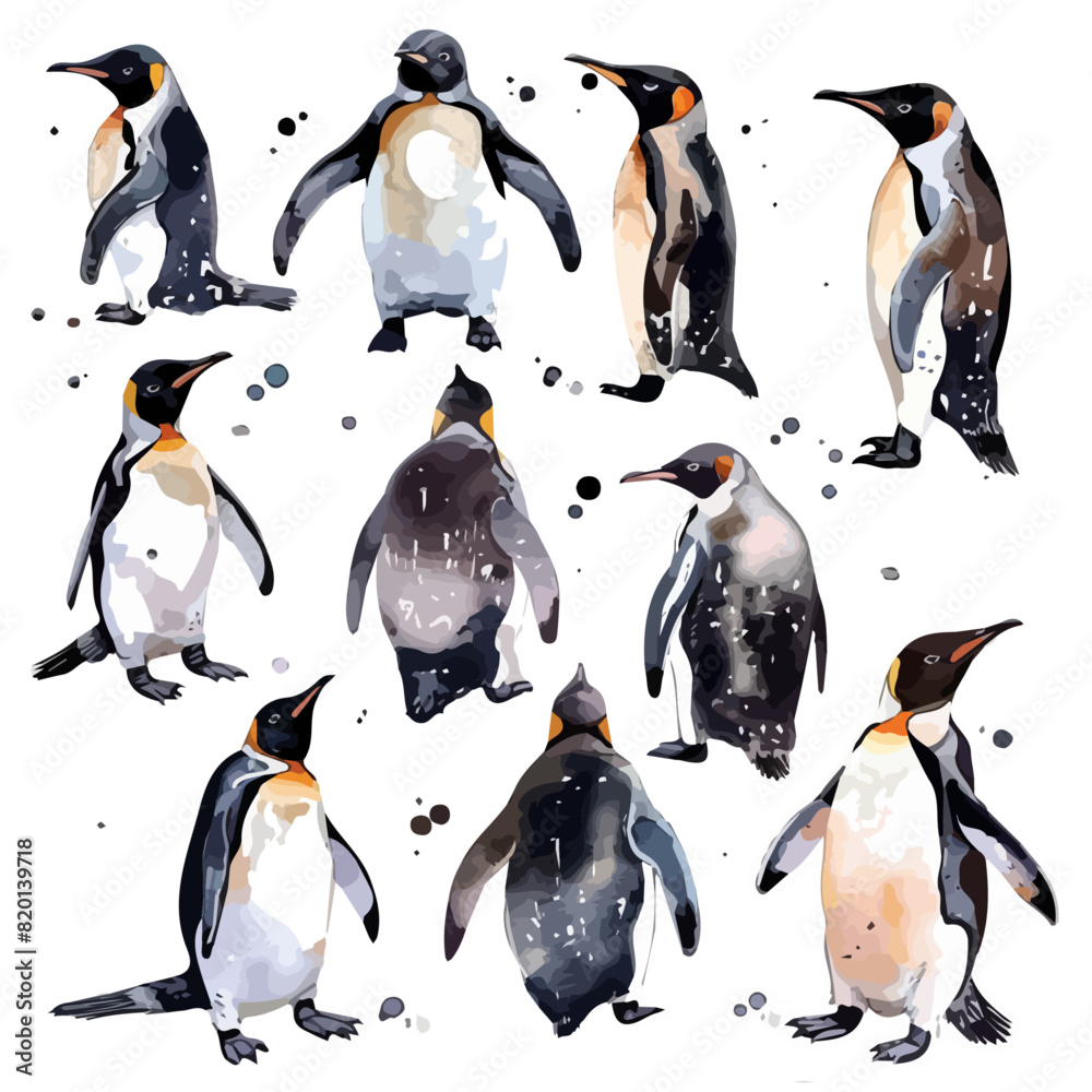 Watercolor painting of a penguin set, isolated on a white background ...