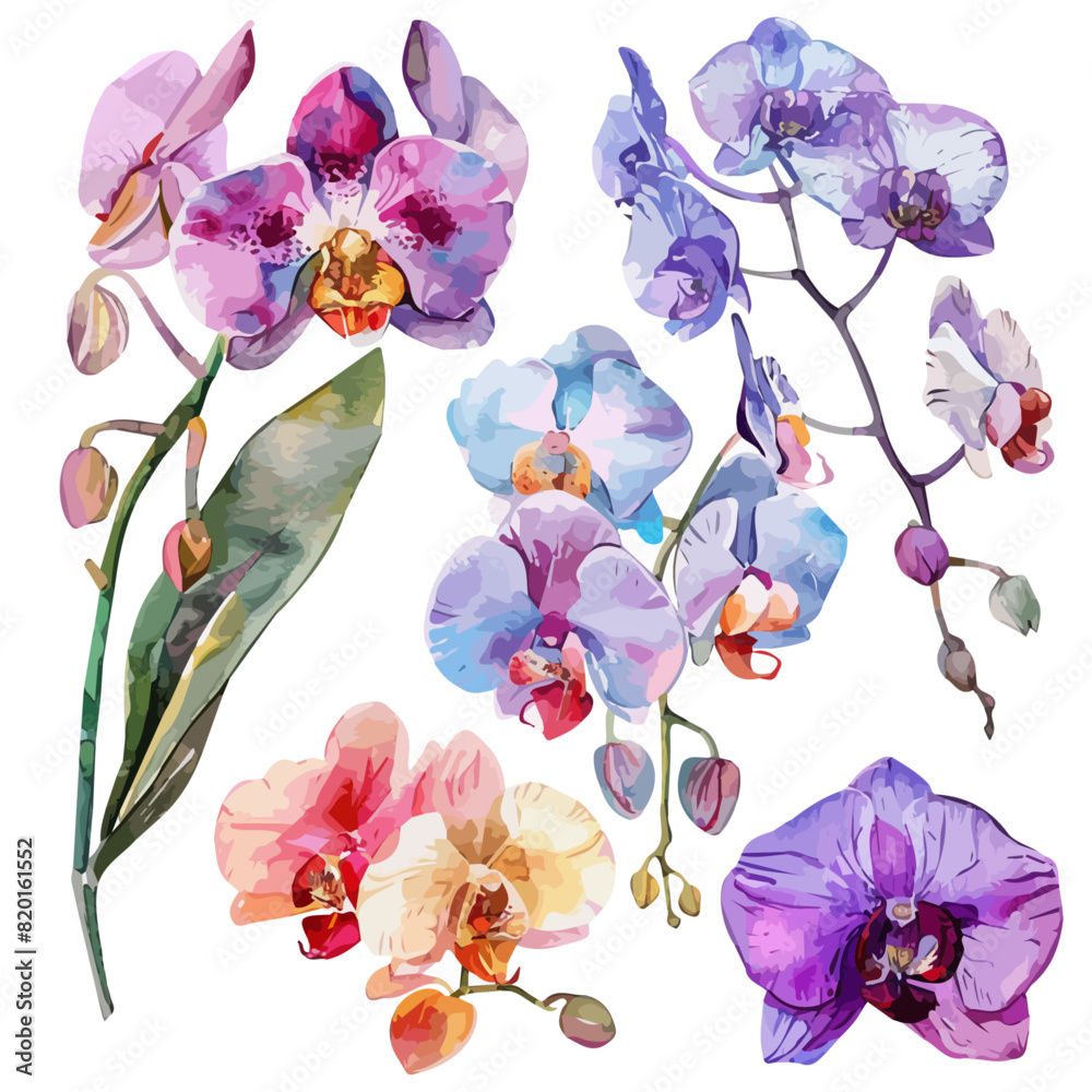 Watercolor clipart vector of a orchid flower set collection , isolated ...