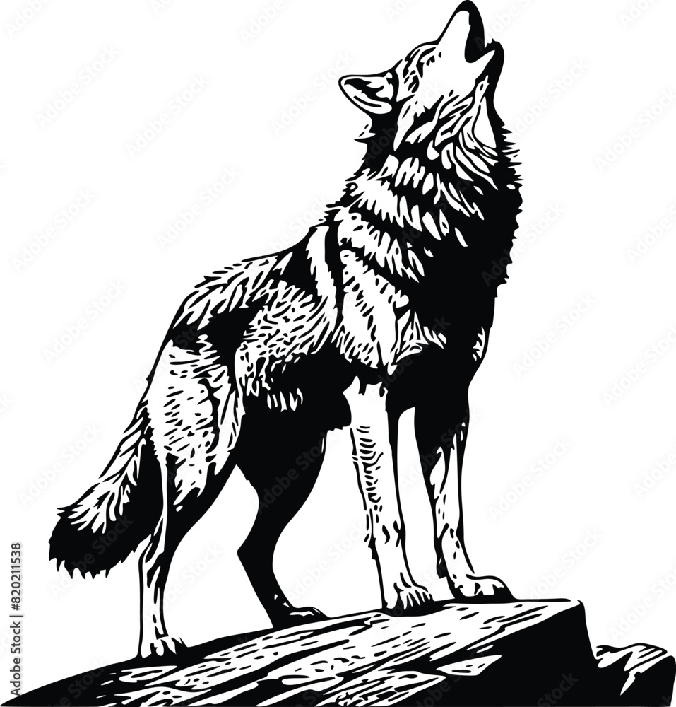 wild wolf howling full body outline Stock Vector | Adobe Stock