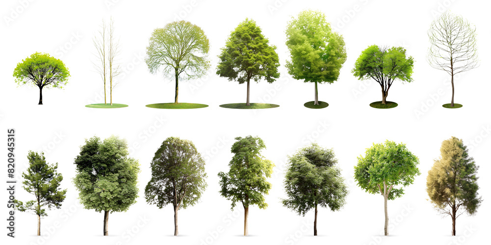 different of Trees collection set in transparent background Stock ...