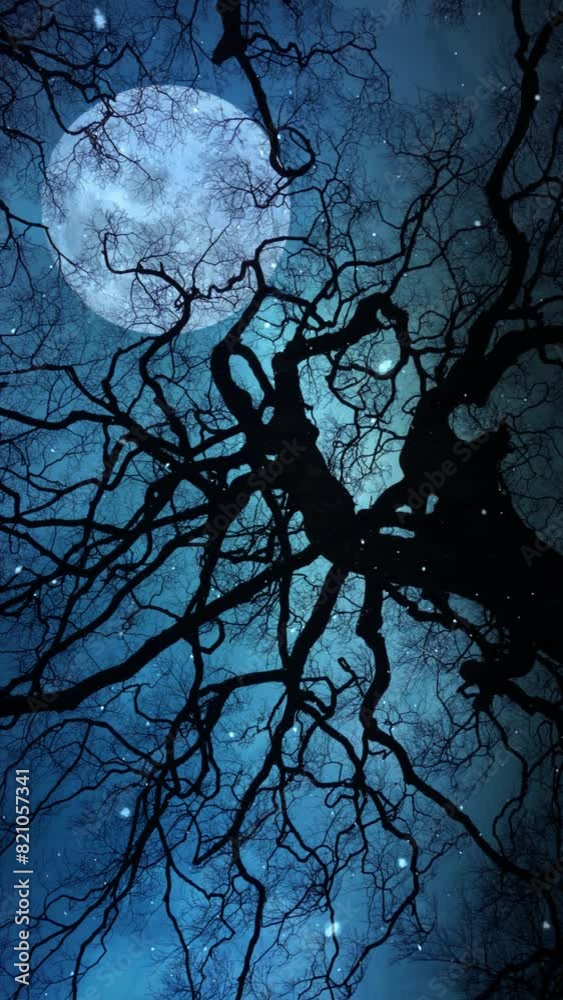 Vertical Looking up Silhouette Tree Branches 4K Loop features a view of ...