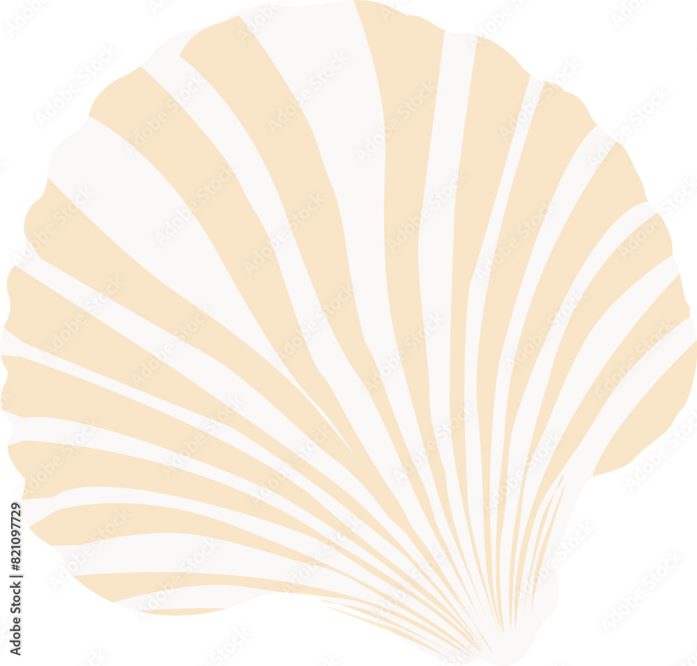 seashell clipart. minimalist seashell clipart isolated on a transparent ...