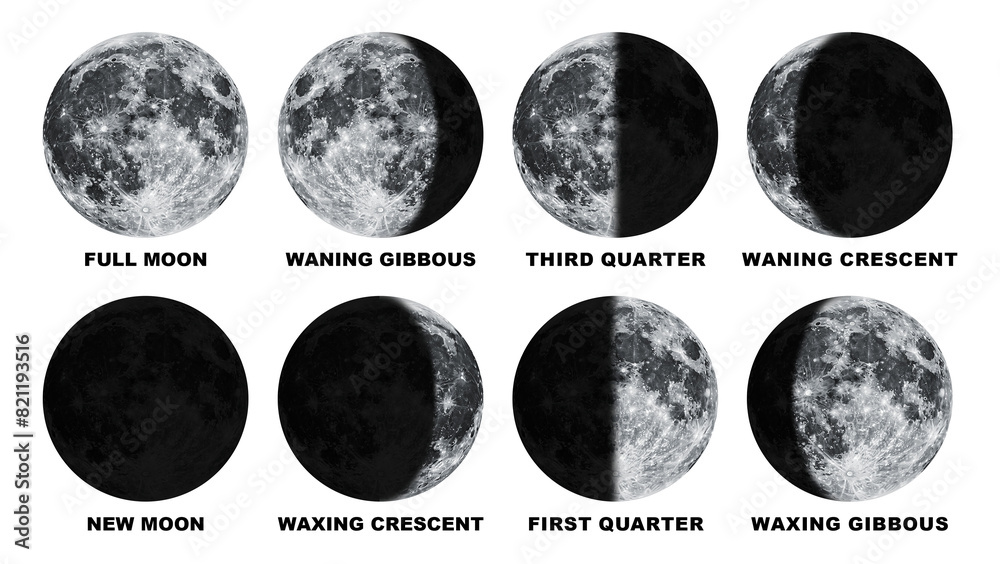 Phases of the Moon With Label Isolated on Transparent Background Stock ...