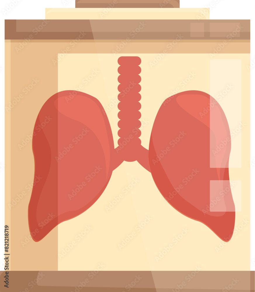 Detailed and informative human lungs anatomy illustration for ...