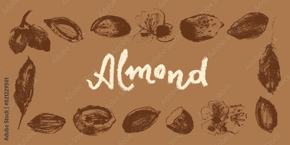 Nut border with almonds illustrations for banner background, packaging ...
