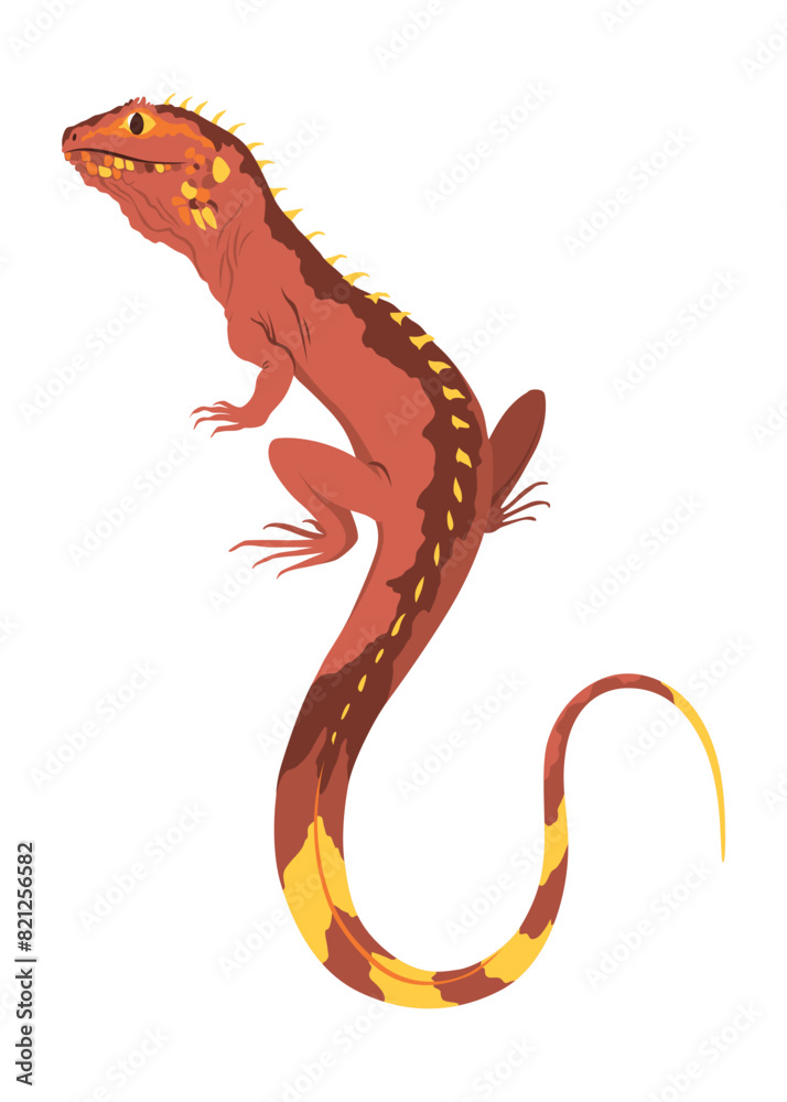 Lizard icon. Tropical colorful decorative amphibian. Fauna character in ...