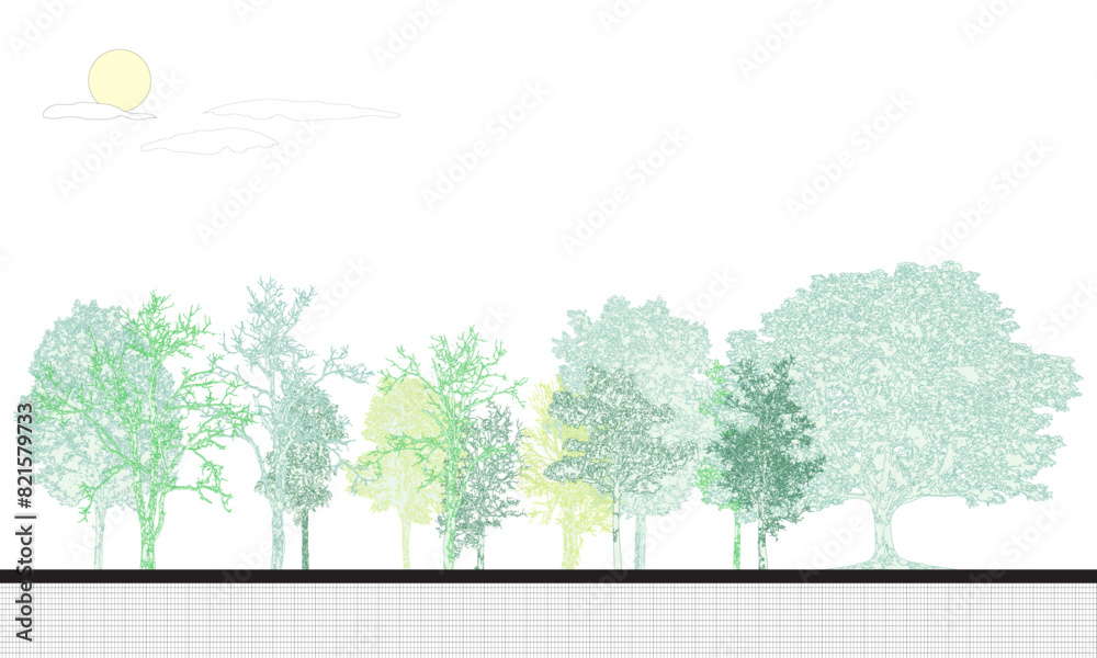 Architectural Drawings, Minimal style cad tree line drawing, Side view ...