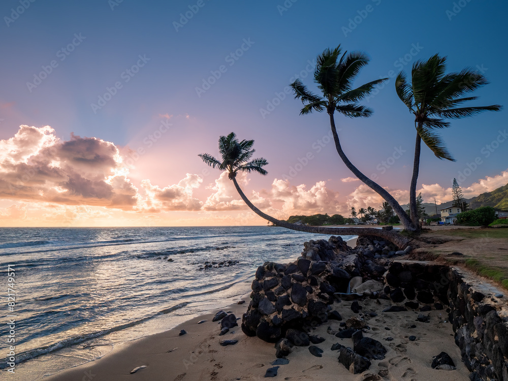 Hawaiian Oahu colorful Sunset Beach with Palm trees in a silhouette ...