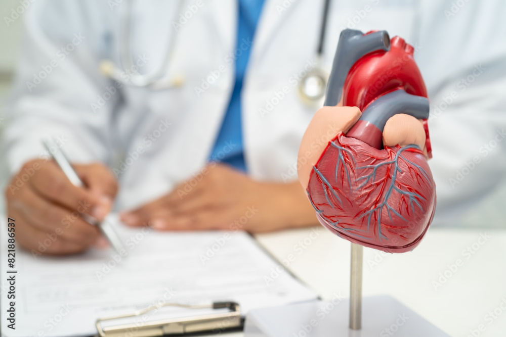 Cardiovascular disease CVD, Asian doctor holding human anatomy model ...