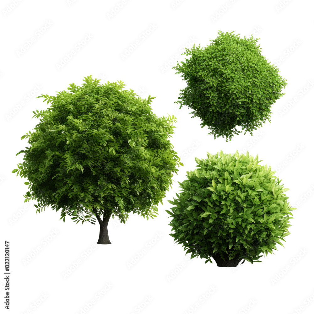 Lush Garden Bushes Isolated on Transparent Background, PNG, Cut Out ...