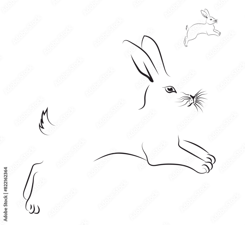 Enhance your drawing skills by connecting the dots to reveal charming ...