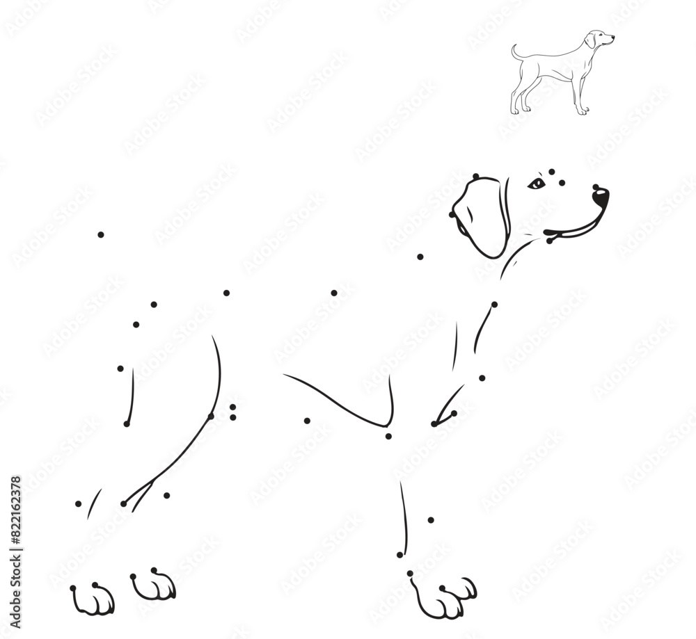 Enhance your drawing skills by connecting the dots to reveal charming ...