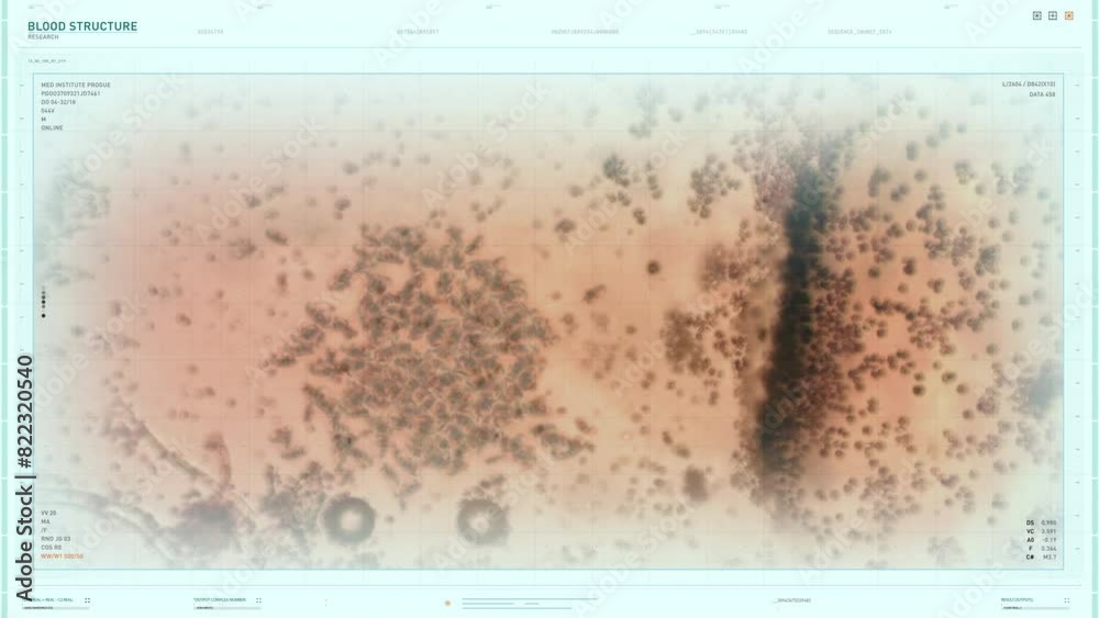 Microscopic Study Of Human Blood Microbiology Structure Using ...