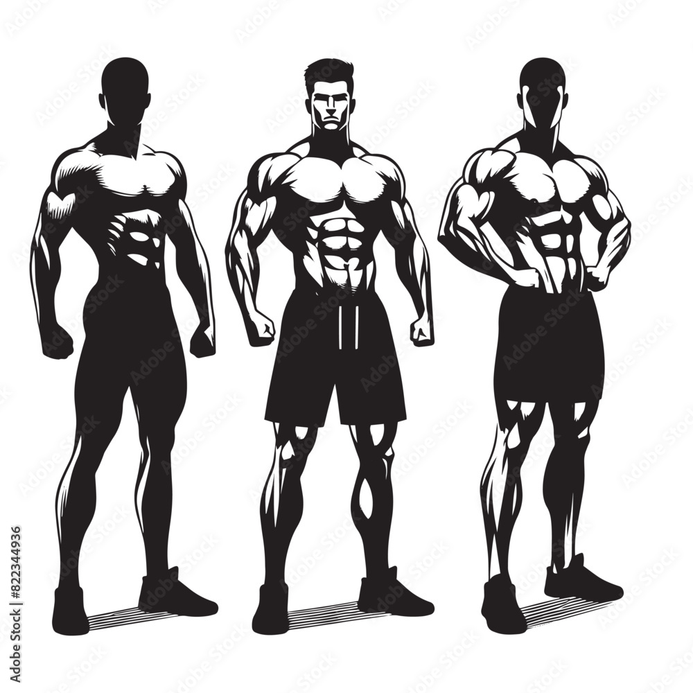 a clean body builder vector lines ,Muscular man in different poses ...