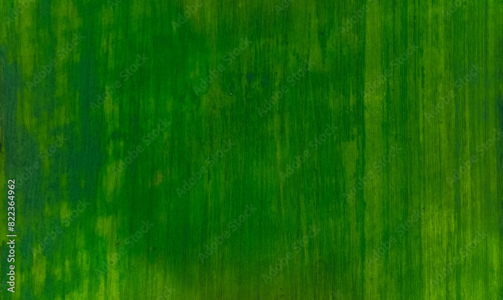 simple green template mock up concept aerial top view of green grass ...