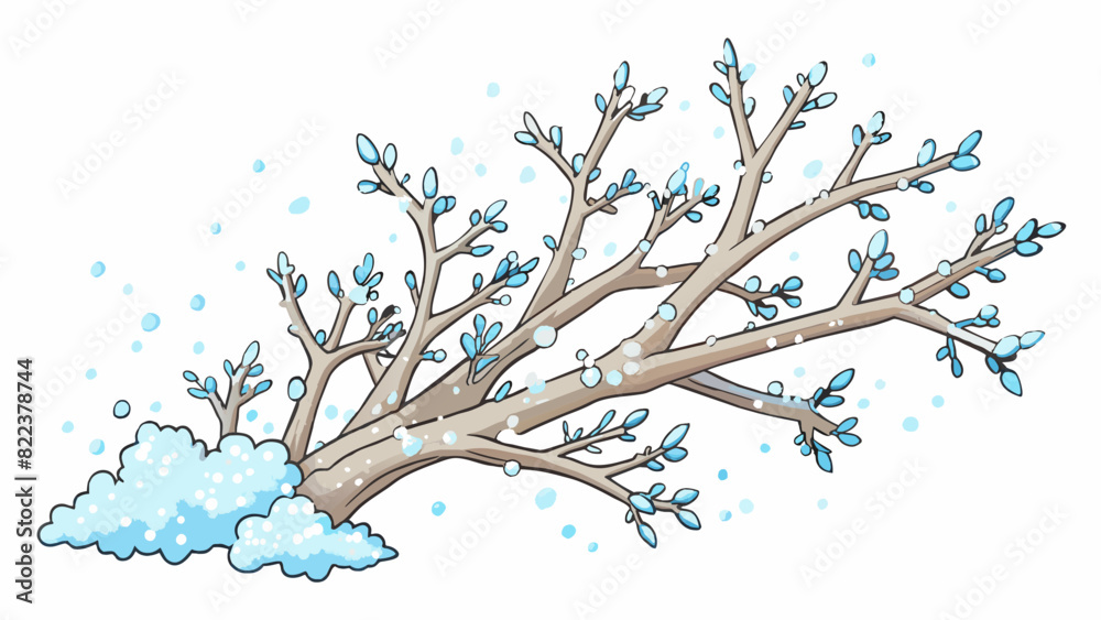 Snowcovered branches sparkle in the sunlight the delicate powder frozen ...