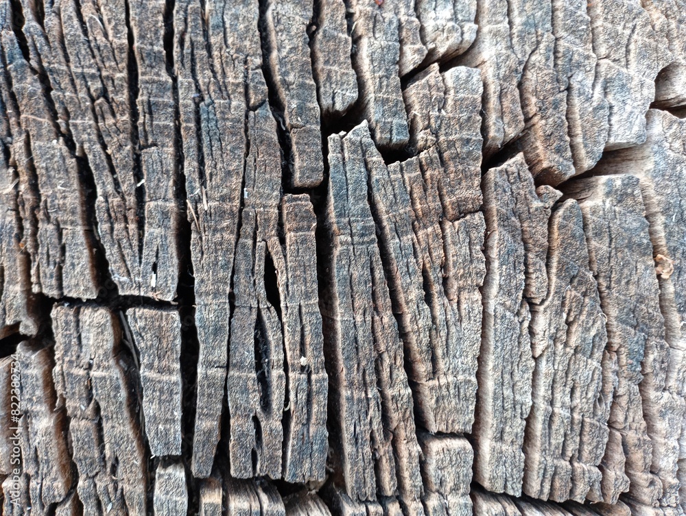 Vertical cracks on the structure of old wood. Natural backgrounds and ...