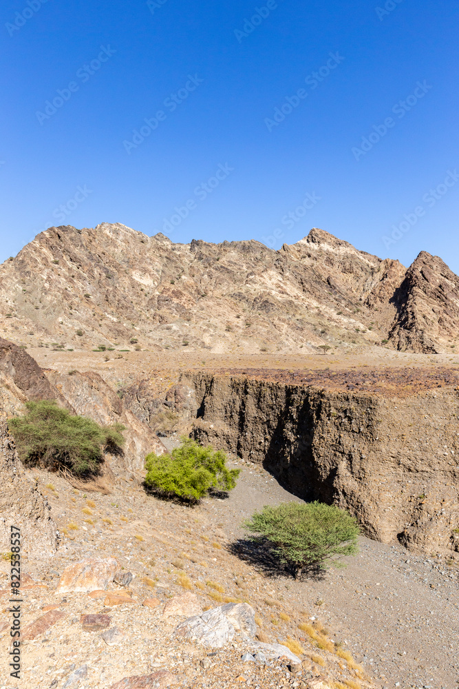 Dry riverbed (wadi) with vertical cliffs in Hajar Mountains in United ...