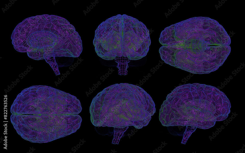 Neural Network Wireframe Brain on black Clipping Mask PNG Background (6 ...