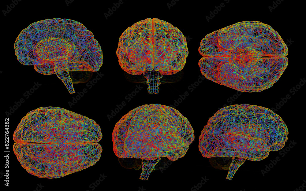 Neural Network Wireframe Brain on Transparent Clipping Mask black ...