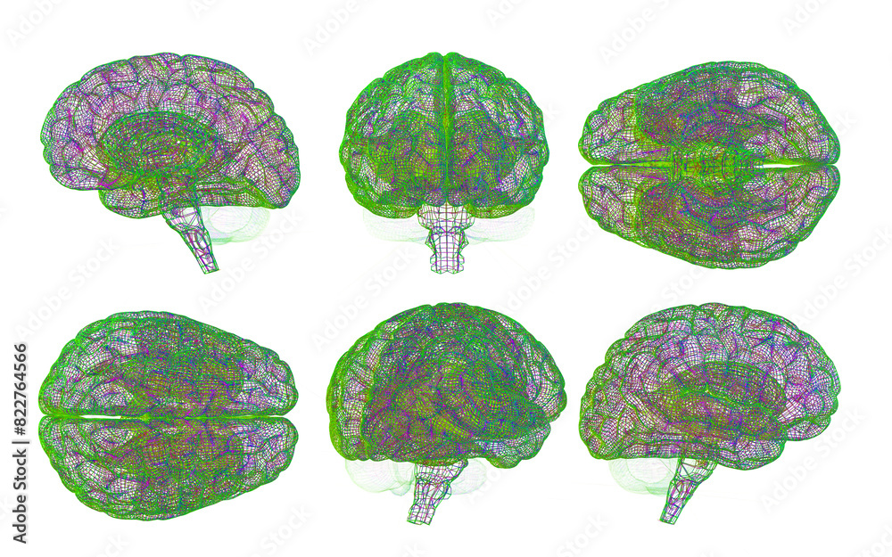 Neural Network Wireframe Brain on Transparent Clipping Mask PNG ...