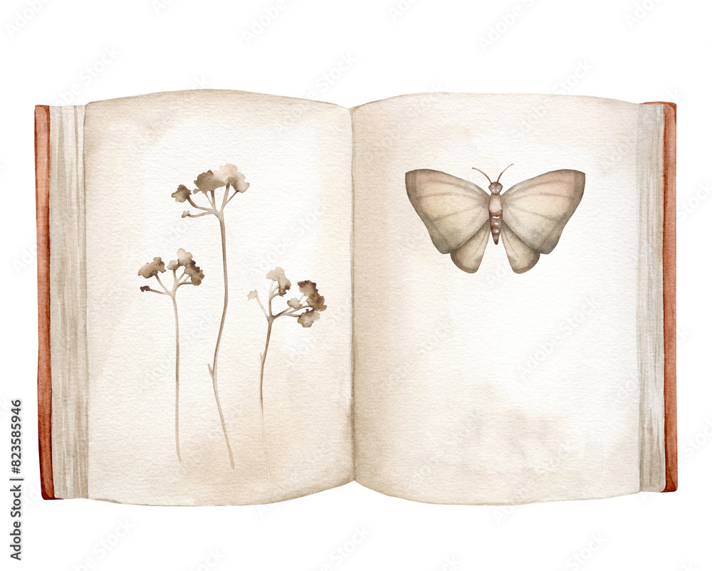 Watercolor illustration book isolated on white background. Open book ...