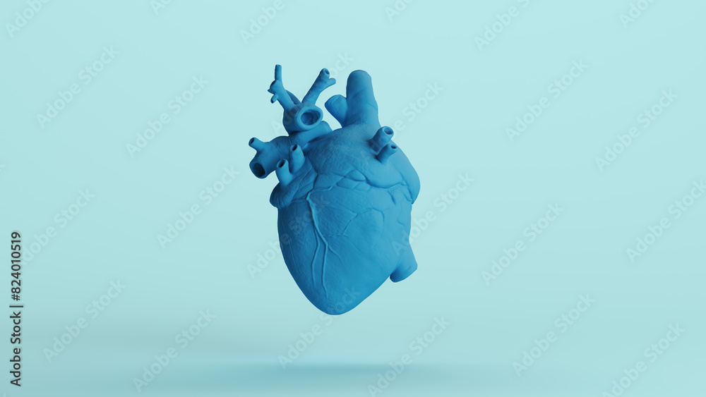 Blue heart anatomical anatomy biology soft tones medical pale ...