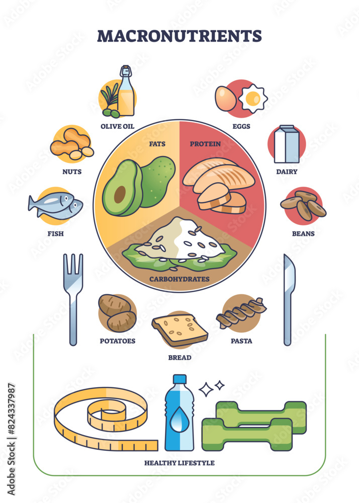 Macronutrients as fats, protein and carbohydrates complex outline ...