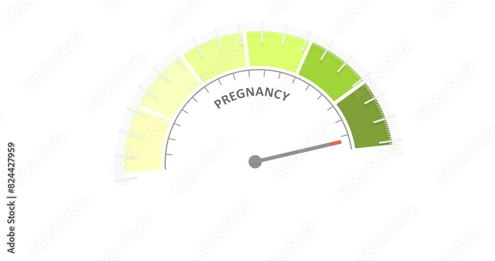 Meter scale with arrow. The pregnancy development measuring device icon ...