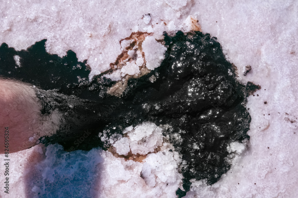 Pelotherapy, therapeutic mud (peloid). Brine lake dried up in dry ...