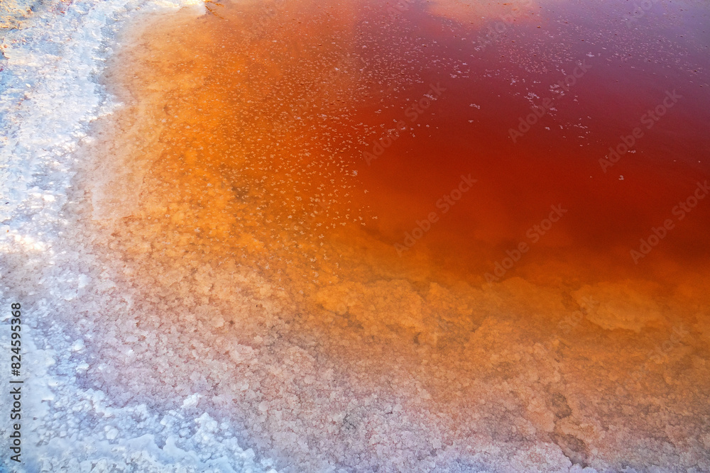 Subsidence funnels on salt marsh are filled with lakes of diverse ...