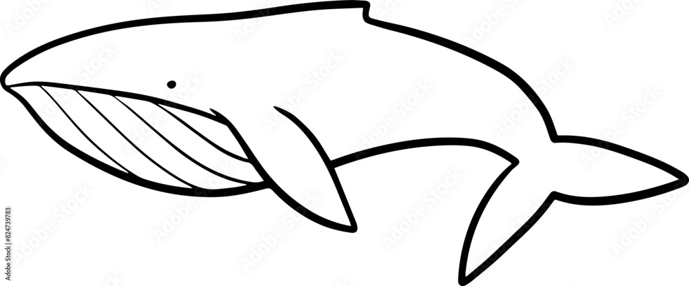 Blue Whale Outline Illustration Kids Line Art Stock Vector | Adobe Stock