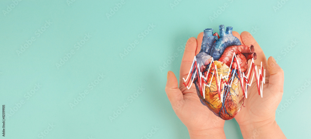 Heart attack, organ with EKG frequency or pulse line, myocarditis ...