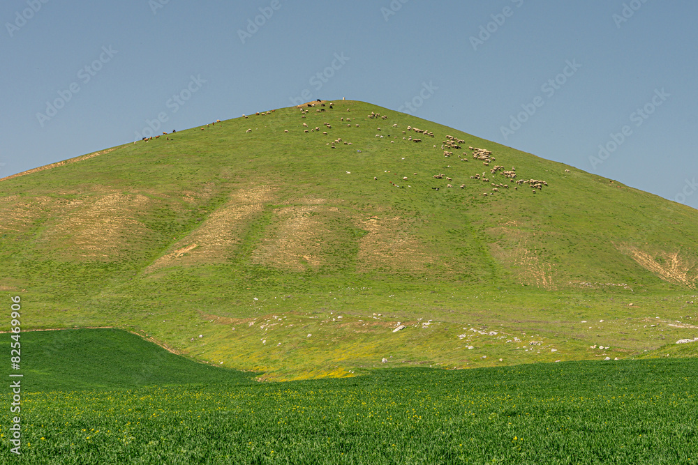 Majestic Tomb of Alyattes Tümülüsü: Ancient Burial Mound of Bin Tepe ...
