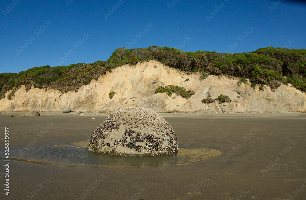 An example of the Moeraki Boulder which is half buried in the sand at ...