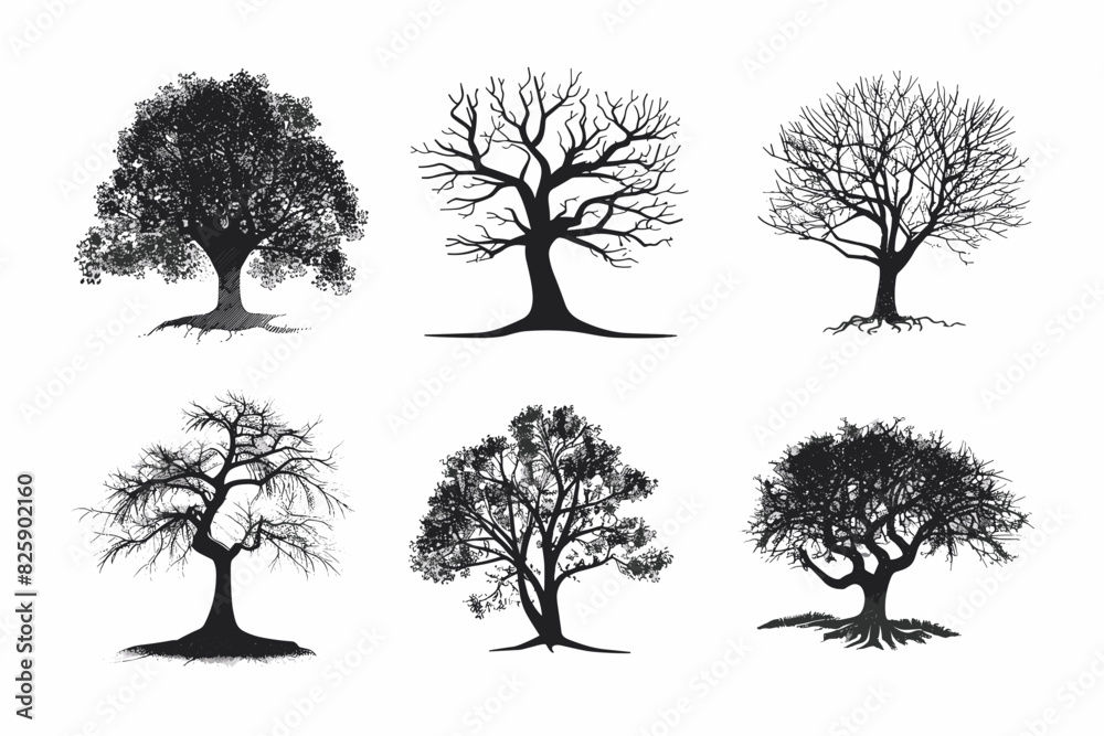 Silhouette tree set. Side view, set of graphic trees elements outline ...