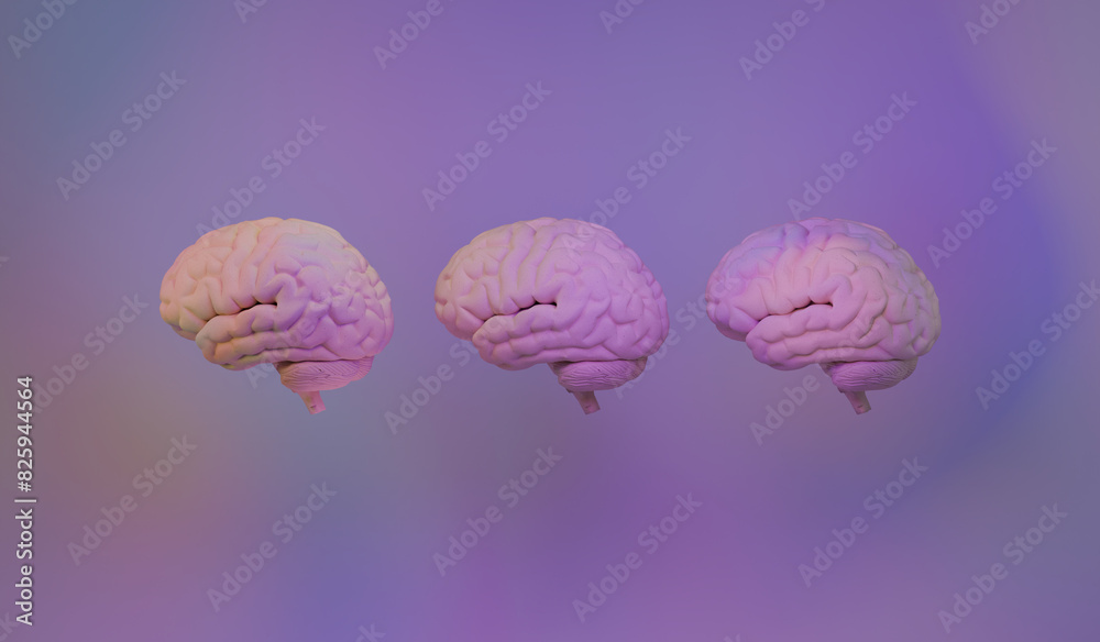 three brains, Anatomy, Medical Illustration, Gradient, Pastel Colors ...