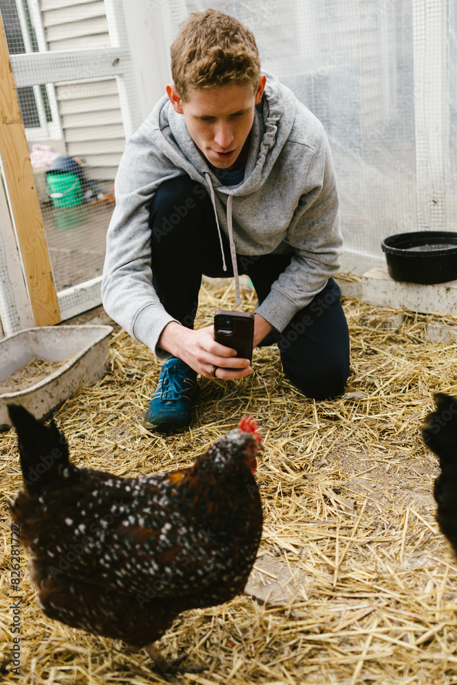 Teen boy snaps picture of hens in chicken coop in backyard Stock Photo ...