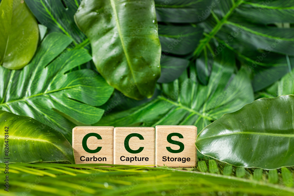 Symbol CCS for Carbon Capture Storage words CCS on a wood cube on the environmental background ...