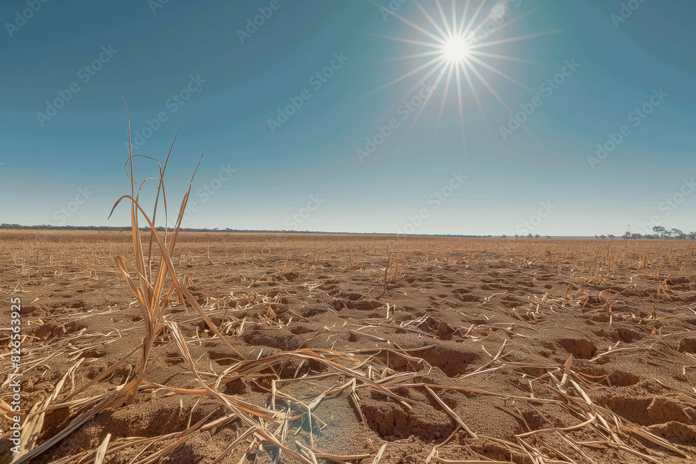 Abnormal heat, drought. a barren, drought-stricken landscape with ...
