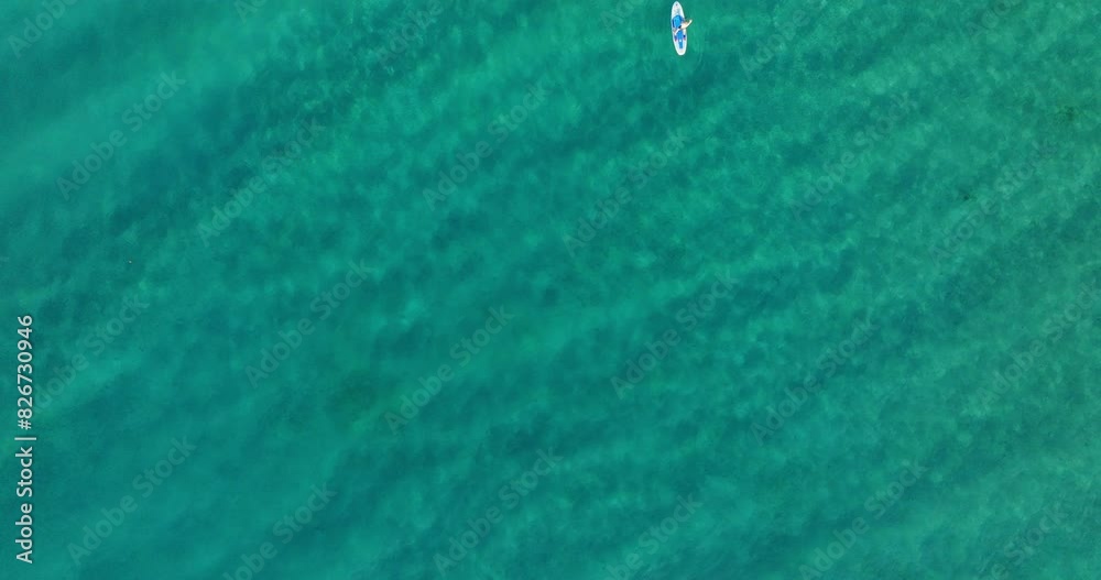 People enjoying a swim in clear blue sea water, seen from above. The ...