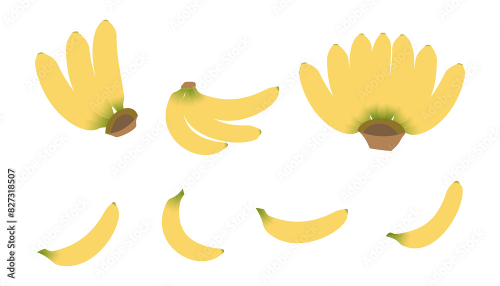 bananas cluster vector set. bunch bananas vector illustration isolated ...