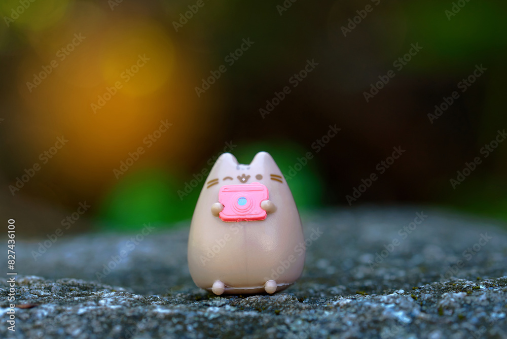 Minsk, Belarus. May 20, 2024. Pusheen cat figurine toy holding photo ...