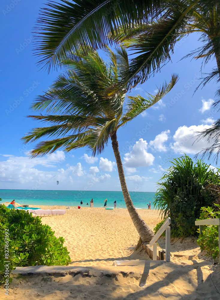 Lanikai beach entrance on Oahu, Hawaii. Rustic wooden handrail, palm ...